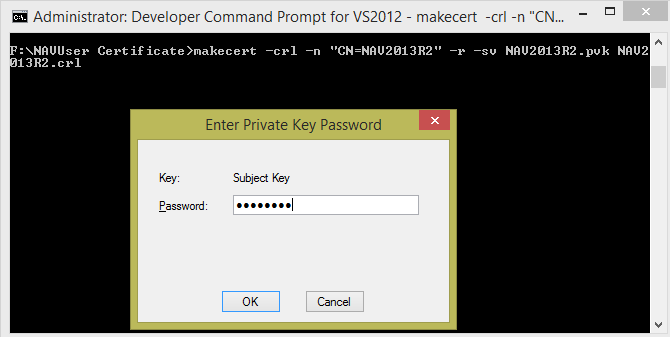 NAV 2013 R2 Windows Client with NavUserPassword – Introduction – Think360Erp